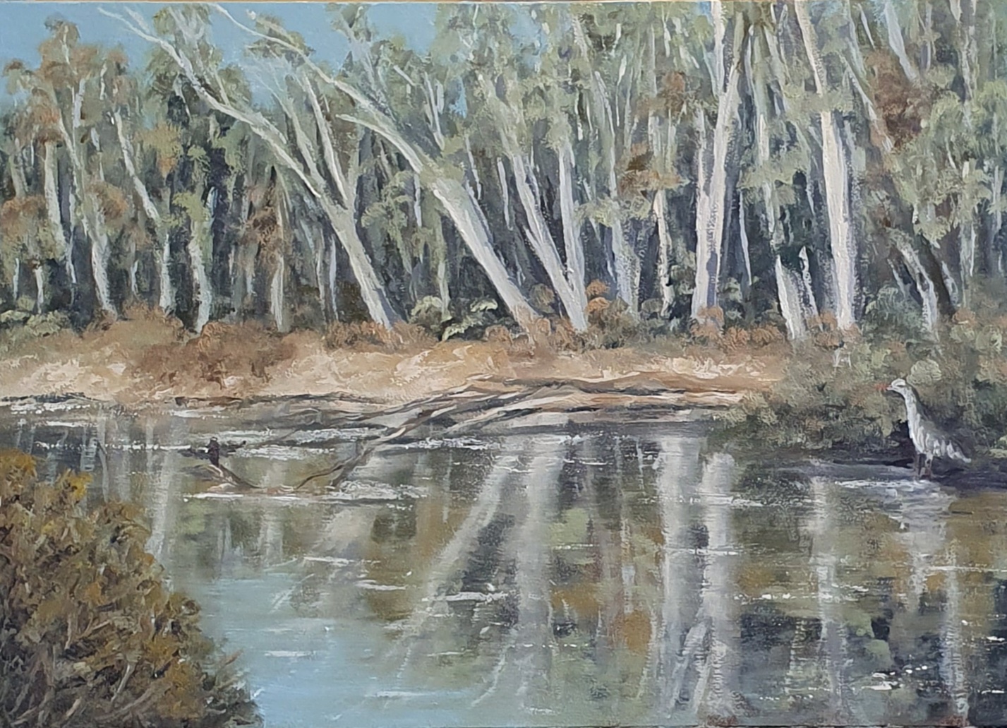 Reflections on the Edward